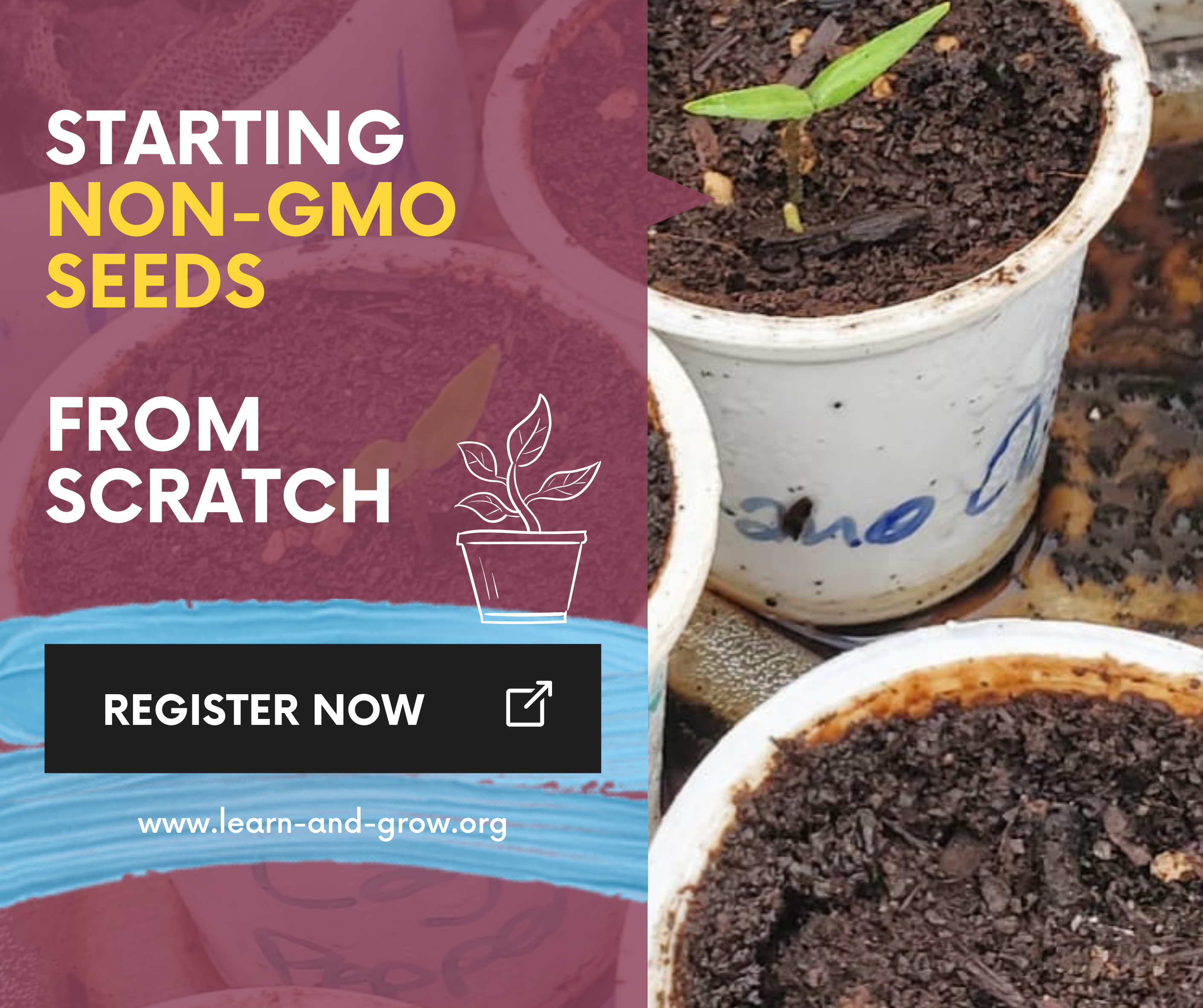 starting non gmo seeds from scratch (5) | Learn & Grow Educational Series