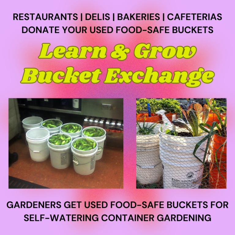 How to Build a DIY Self-Watering Bucket Container – Learn & Grow ...